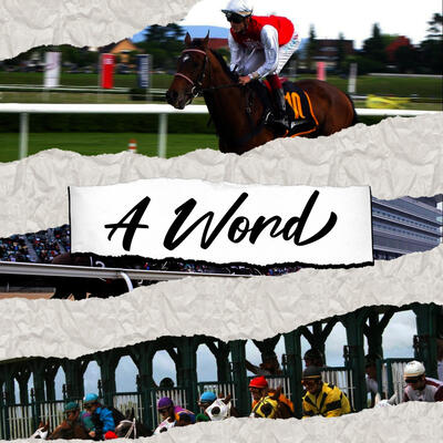 Episode 2 - Matt Bernier - POGO FM