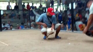 3 HITS ULUTAN 3RD DRAG FIGHT NAPILAY ANG KANANG PAA LOSS @BARCELONA COKPIT ARENA - BiliBili