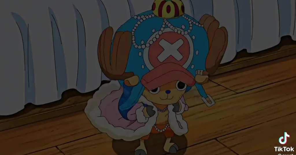 one piece - Bilibili