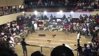 PATRICK ANTONIO WIN - BiliBili