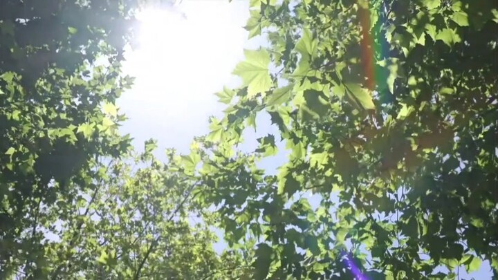 Bstation Cari - hidden love