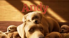 Andy: A Dog's Tale | Full Film | Canine Companions #animation #puppy # ...