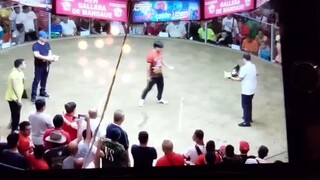 JOE GOODE GREY SONNY LAGON - BiliBili