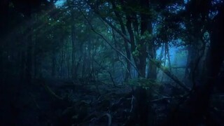 The Fable | Japanese Movie 2019 - BiliBili