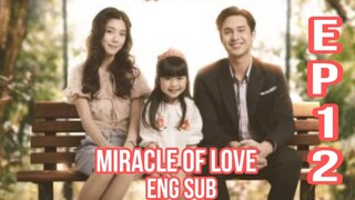 Miracle of Love |Episode 17 Finale - BiliBili