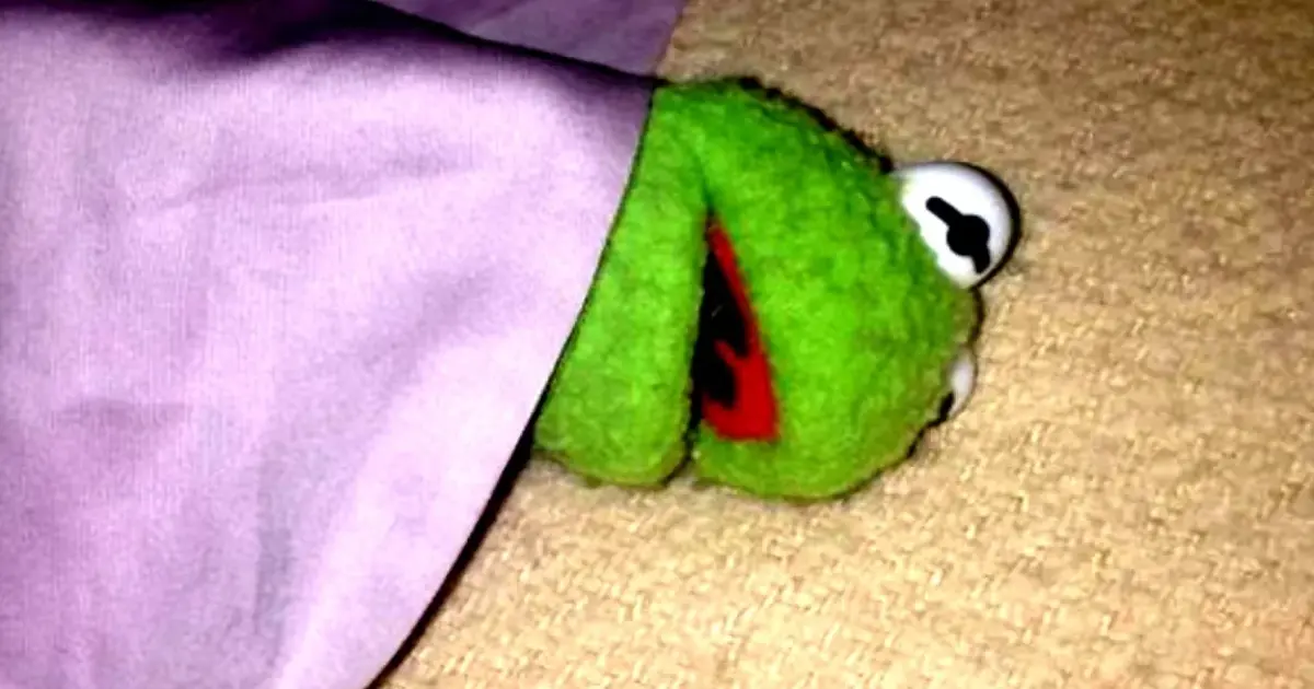 Perfectly Cut Screams Memes 77 - Bilibili