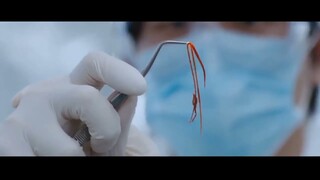 Urban Myths 2022 Movie - BiliBili