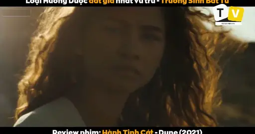 NỘI DUNG PHIM HÀNH TINH CÁT P2 - Bilibili