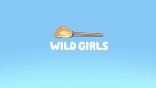 Bluey Season 1 Episode 7 BBQ - BiliBili