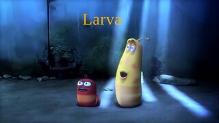 LARVA - Season 1 - FULL Episode 1 Sampai 104 (Final) - BiliBili