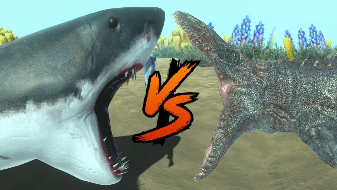 Megalodon Vs Godzilla