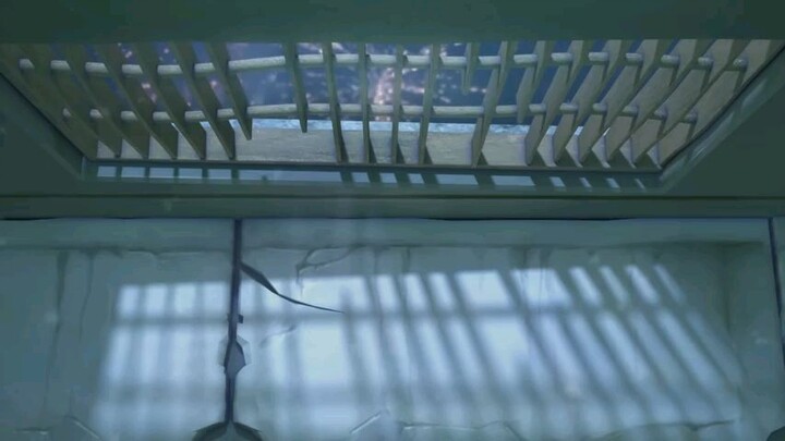 Bstation Cari - larva