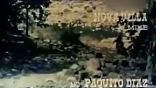 Classic FPJ Movie Action Full - BiliBili