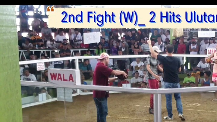 Romy EnriQuez's space - Bilibili