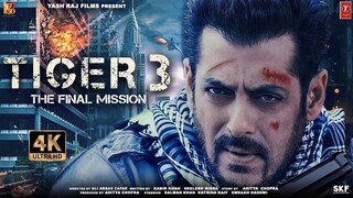 Tiger Zinda Hai ( 2017 ) 480p • Subtitle Indo - BiliBili