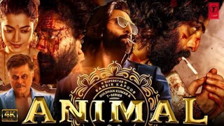 ANIMAL FULL MOVIE IN HINDI 1080P AND 4K QUALITY 🔥🔥 - BiliBili