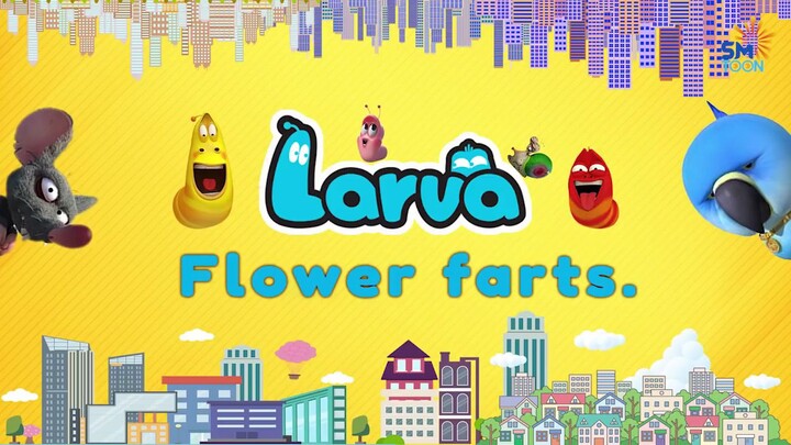 Bstation Cari - larva