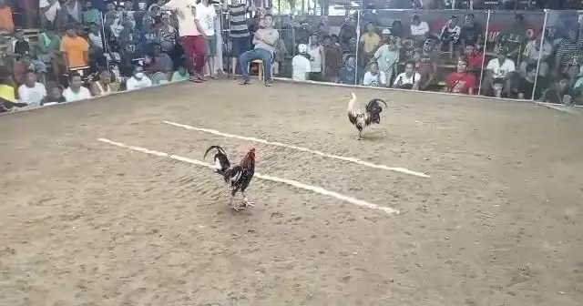 my spangle 2hits - Bilibili