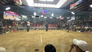 5 STAG CLEAN UP DERBY - GAPP BULACAN(Dec 16, 2024) - BiliBili