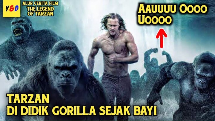 Bstation Cari - tarzan