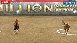 World Pitmaster Cup - BiliBili