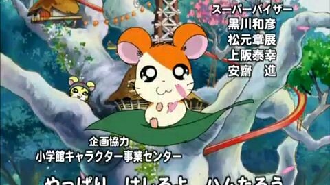 Bstation Cari - Hamtaro