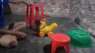 Undisciplined Monkey macaque Tree Rat. #treerat #pigtail #KarenMafia # ...