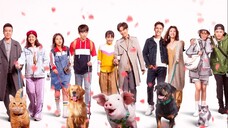 A Tale of Mari and Three Puppies - BiliBili