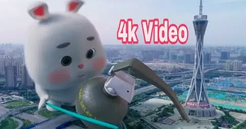 Thỏ Mập Siêu Dễ Thương | Super Cute Fat Rabbit | Part 2 - Bilibili
