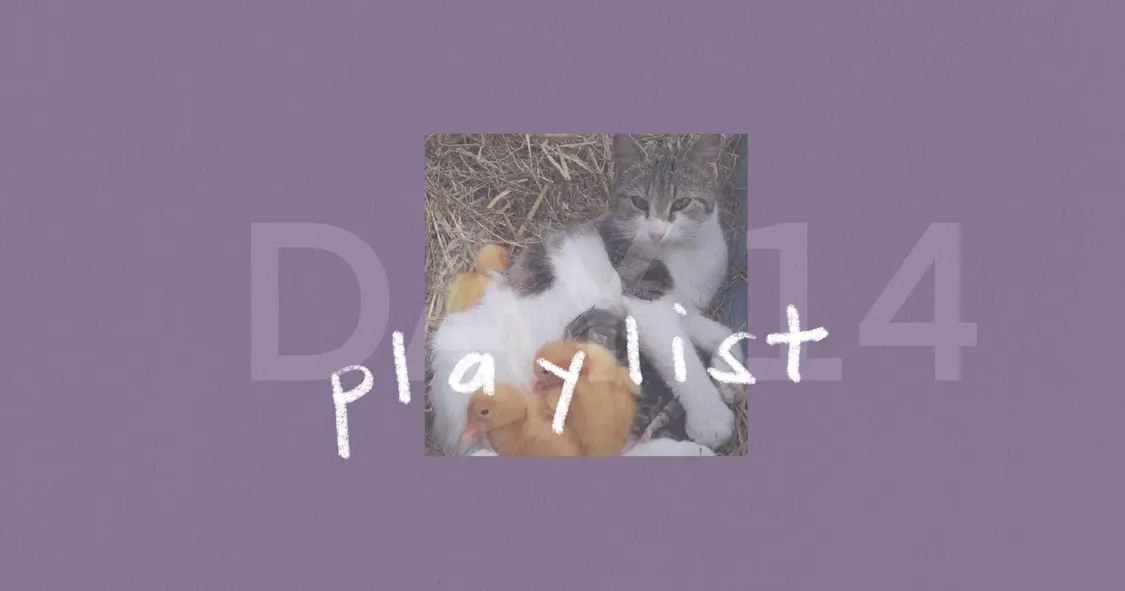 MOTHER CAT! - Bilibili