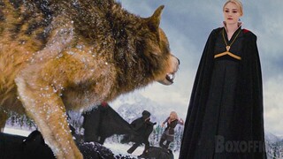 Twilight.Saga.the.2009 - BiliBili