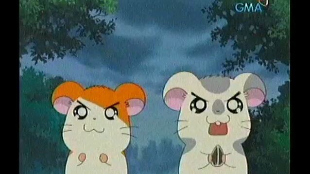 Bstation Cari - Hamtaro