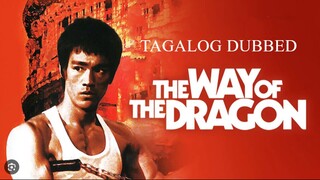 Once Upon a Time in China 1 | Tagalog | Jet Li - BiliBili