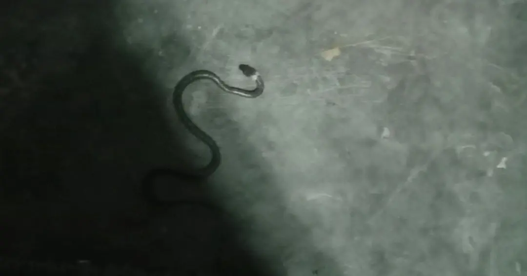 ahas tulog - Bilibili