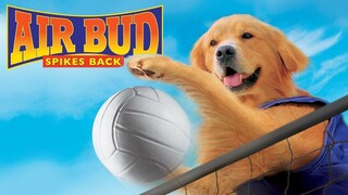 Air bud (1997) - BiliBili
