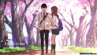 I Want To Eat Your Pancreas (2018) 1080p English Dubbed - BiliBili