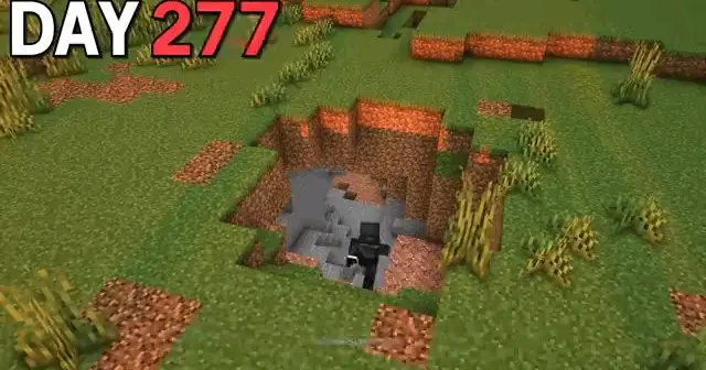 Forrestbono 1,000 days - Bilibili