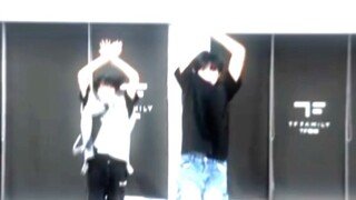 TF FAMILY (Delicate relationships) dance relay ver. - BiliBili