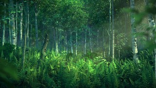 Epic (2013) - BiliBili