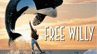 free willy 1993 - BiliBili