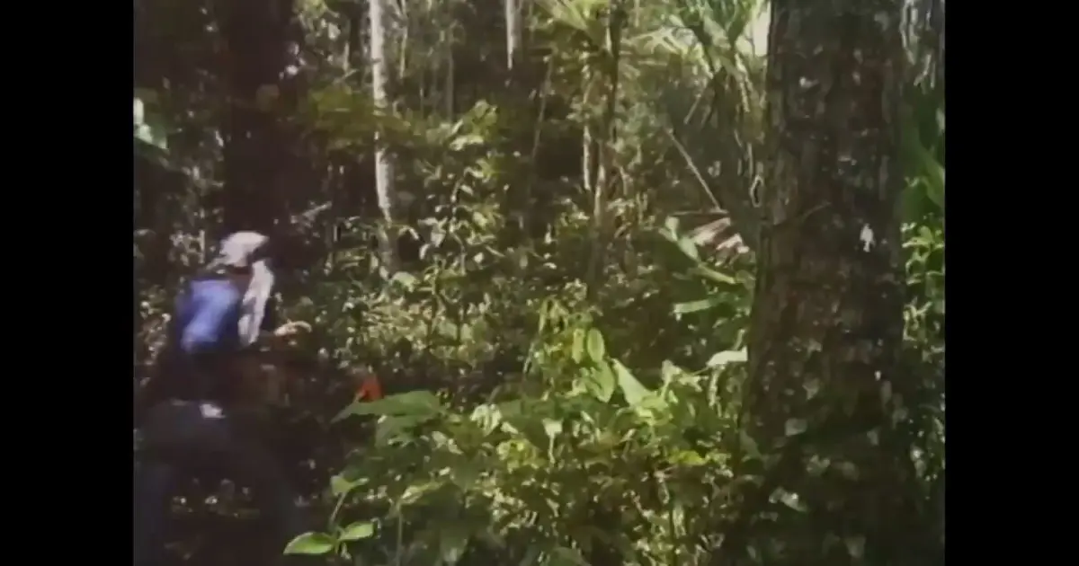 mista(robin P) - Bilibili