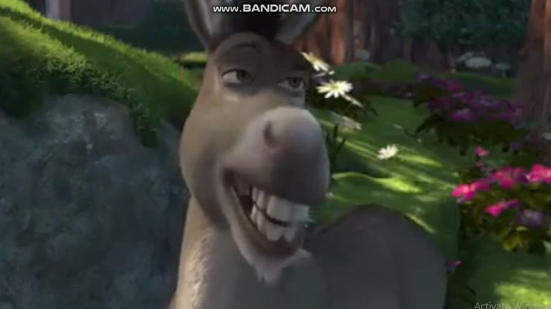 Donkey Smiling Shrek