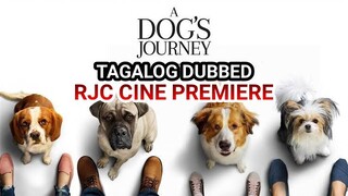 A DOGS JOURNEY FULL MOVIE 2019 [TAGALOG DUBBED] - BiliBili