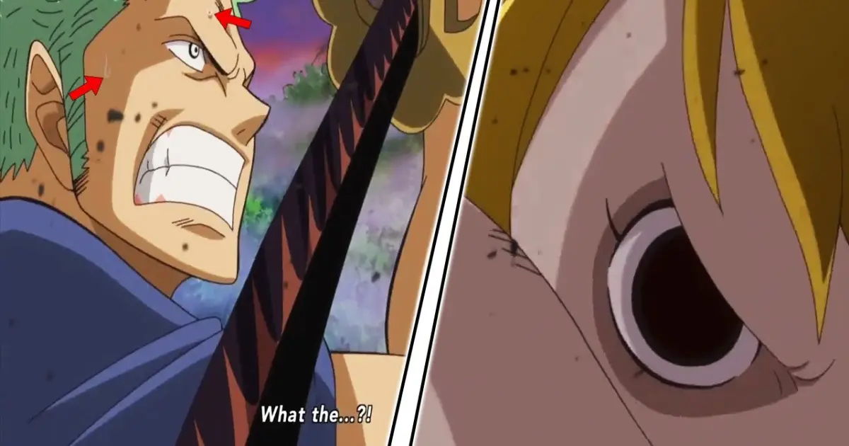 The Hardest Challenge Zoro Faced in the New World - Ft. Tmaze | OP TOP ...