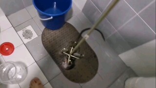 gollum monkey #treerat by KarenMafia - BiliBili