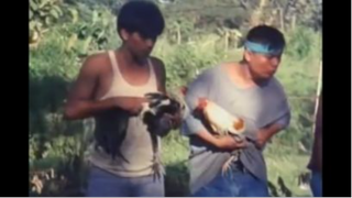 #Andrew e. full movie - BiliBili