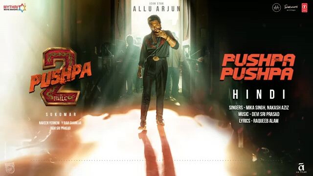 BiliBili search - pushpa