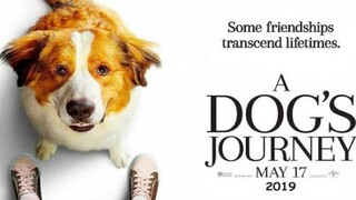 A DOG'S PURPOSE (2017) หมา เป้าหมาย และเด็กชายของผม - BiliBili
