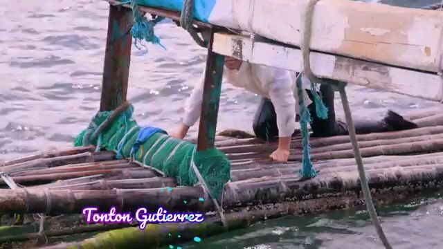 Sheng Hasim Ibrahim's space - BiliBili