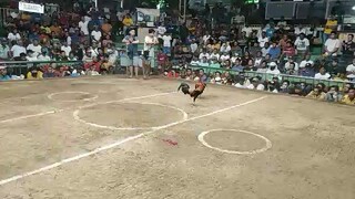 Santa Monica cockpit Arena 2fyt win bulik 2hits - BiliBili